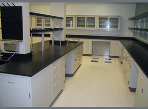 Laboratory Casework and Accessories - reich